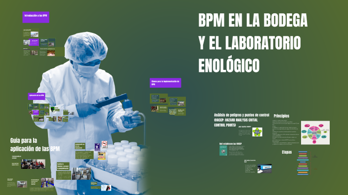 BPM EN LABORATORIO by Baigorria Antonio Alejandro on Prezi