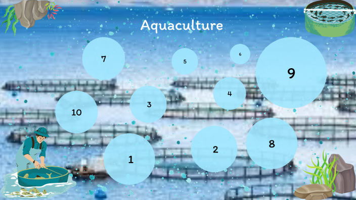 Aquaculture by Amanda Bevan on Prezi