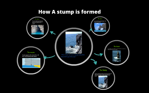 How A stump is formed by on Prezi