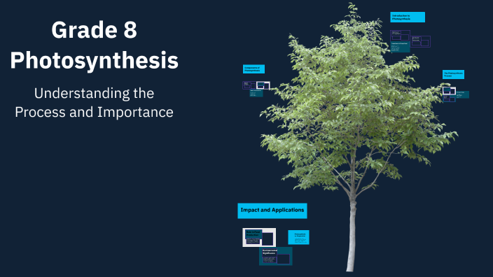 Grade 8 Photosynthesis by Jenanda Swart on Prezi