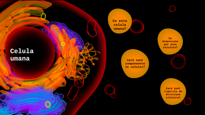 Celula umana by BIANCA - MARIA CORNATANU on Prezi