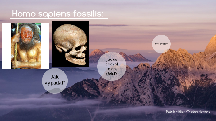 homo sapiens fossilis by Patrik Mičian on Prezi