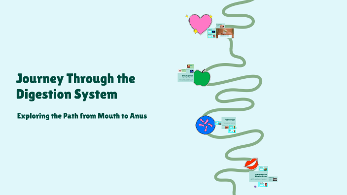 Journey Through the Digestive System by on Prezi