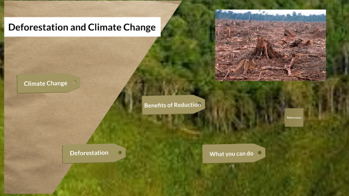 Deforestation and Climate Change by Ashley Young on Prezi