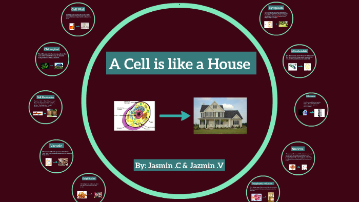 A cell is like a house by jasmin campos on Prezi