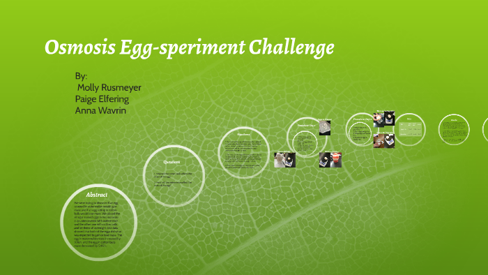 Osmosis Egg-speriment Challenge by Paige Elf