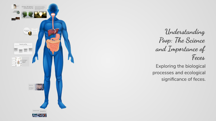 Understanding Poop: The Science and Importance of Feces by Mateo Gómez ...