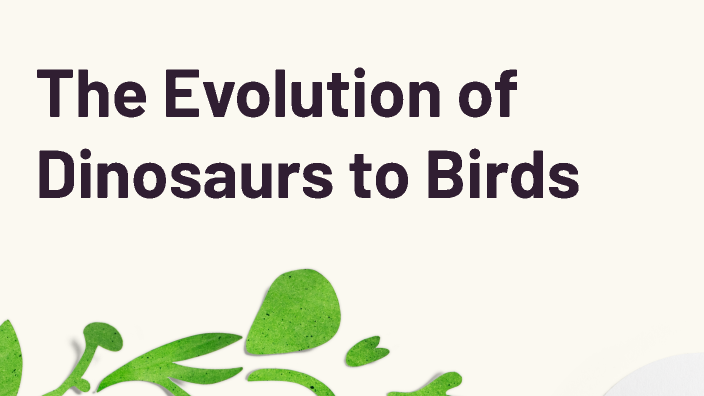 The Evolution of Dinosaurs to Birds by amy evans on Prezi