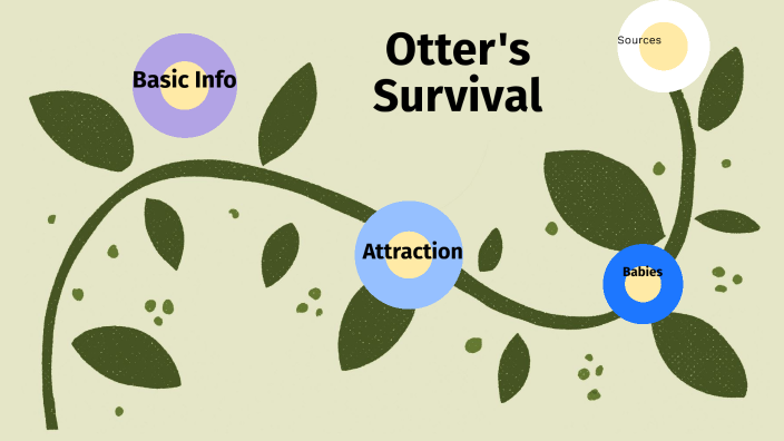 Otter reproduction by Kendra Ruwaldt on Prezi