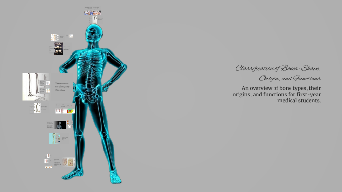 Classification of Bones: Shape, Origin, and Functions by abood ...