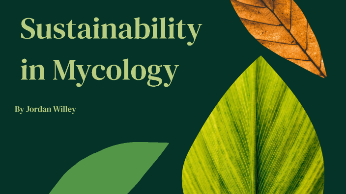 Sustainability in Mycology by Jordan Willey on Prezi