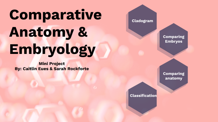 Comparative Anatomy & Embryology by CAITLIN EUES on Prezi