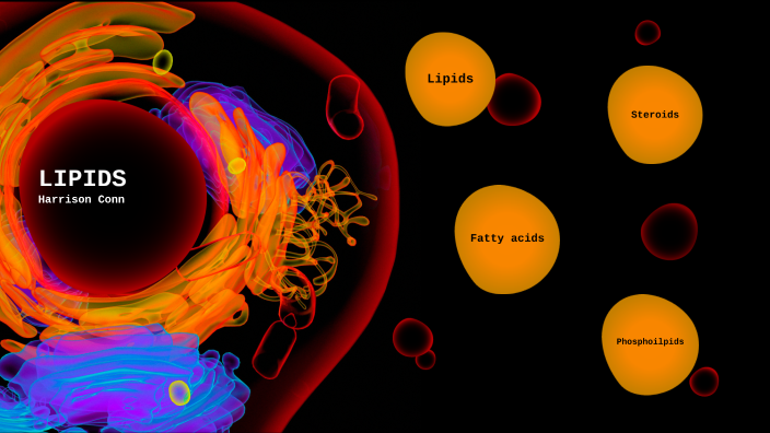 LIPIDS Harrison Conn by Harrison Conn on Prezi