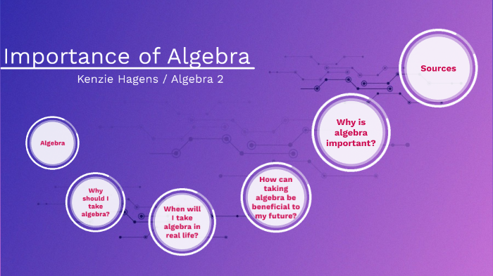 The Importance of Algebra by Kenzie Hagens on Prezi