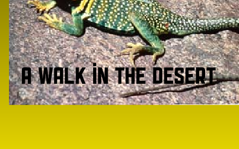 A Walk in the Desert Vocab by Jake Scott on Prezi