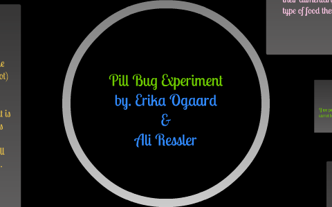 Pill Bug Experiment by erika ogaard on Prezi