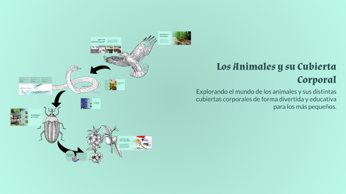Los Animales y su Cubierta Corporal by MARCELA LORETO ROMAN ALVAREZ on ...