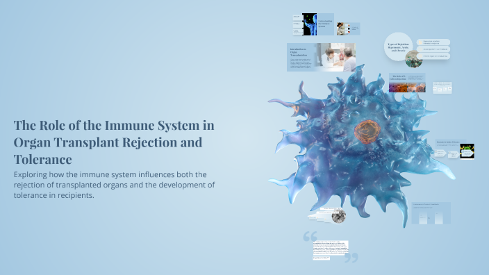 The Role of the Immune System in Organ Transplant Rejection and ...