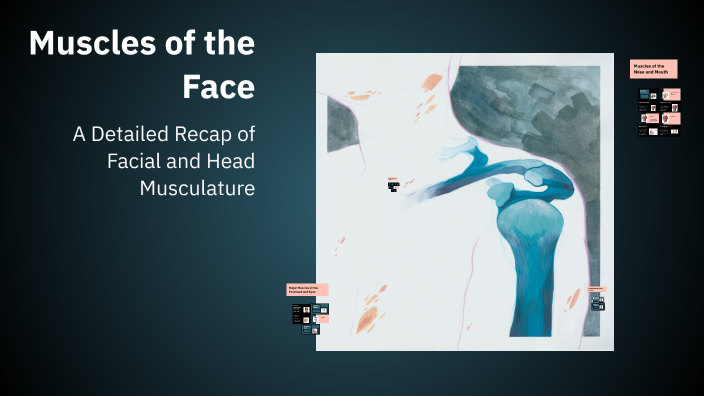 Muscles of the Face by Hannah Turner on Prezi