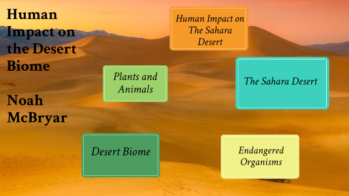 Human Impact on Desert Biome - Noah McBryar (Hawkins) by Jill McBryar ...