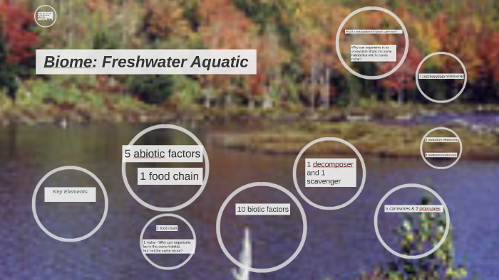 Freshwater Aquatic - Biome Project by Kristin Anderson on Prezi