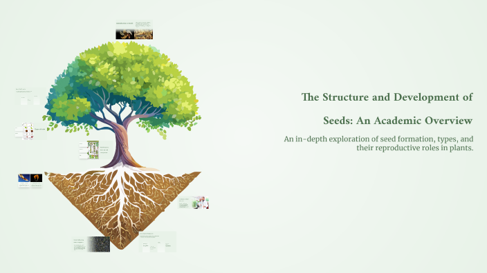 The Structure and Development of Seeds: An Academic Overview by Swaroop ...