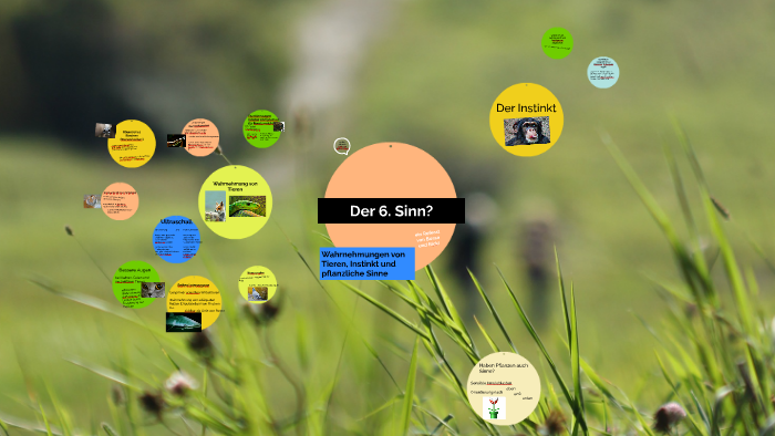 Der 6. Sinn by Frederick Stade on Prezi