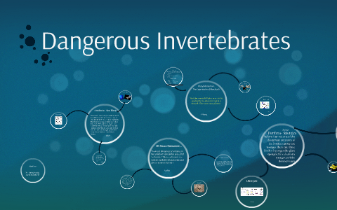 Dangerous Invertebrates by on Prezi