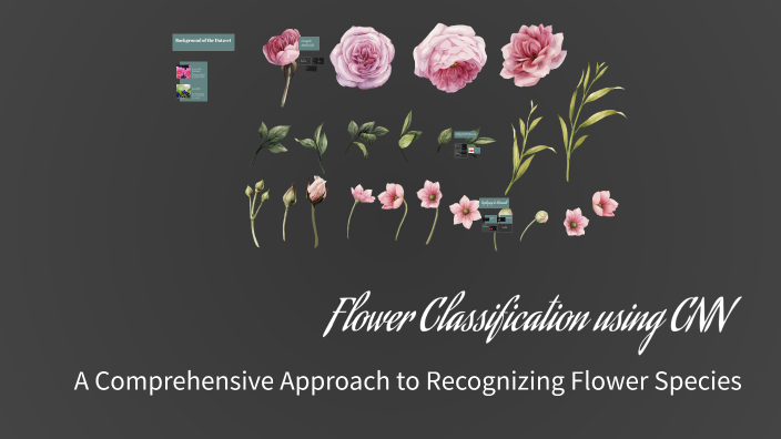 Flower Classification using CNN by Dheen Urbano on Prezi