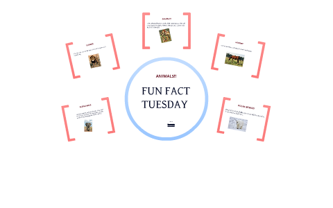 Fun Fact Tuesday!!! by Danielle Mackessy on Prezi