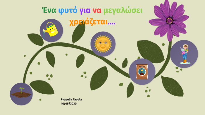 Τι χρειάζεται ένα φυτό για να μεγαλώσει by Eva Ta on Prezi