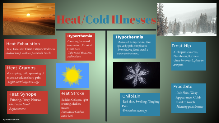 Heat Illness Diagram by Rebecka Shaffer on Prezi