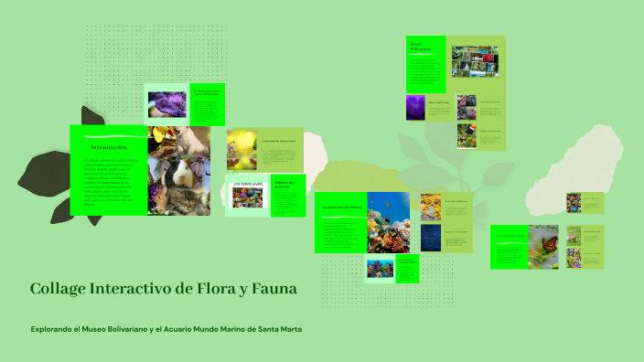 Collage Interactivo de Flora y Fauna by Daniel Blanco on Prezi