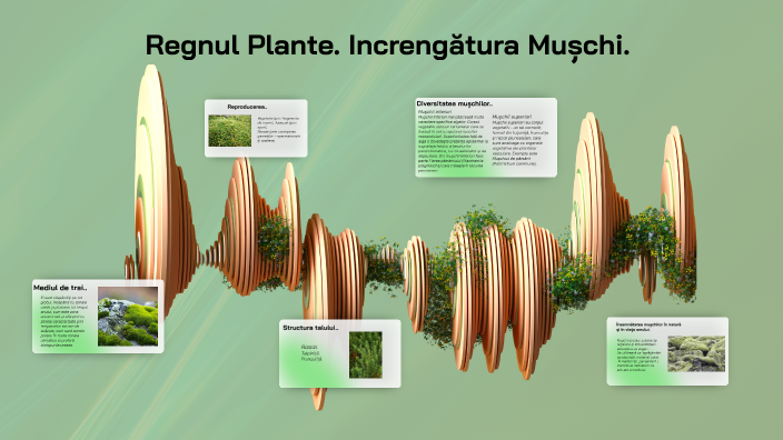 Regnul Plante. Increngătura Mușchi. by Bianca Litra on Prezi