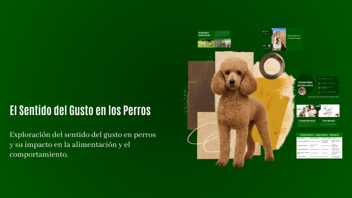 El Sentido del Gusto en los Perros by Alexandra Restrepo Villada on Prezi