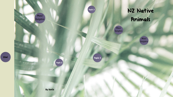 Native NZ plants and animals by Xenia Liu on Prezi