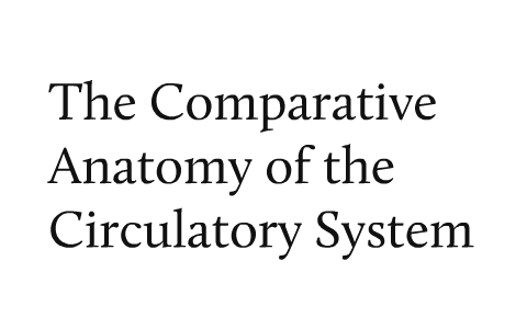 Comparative anatomy of the Circulatory System by Manuel Martinez on Prezi