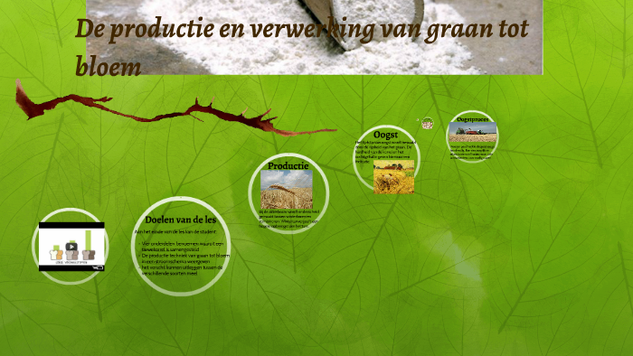 De productie en verwerking van graan tot bloem by Jair Dirksz on Prezi