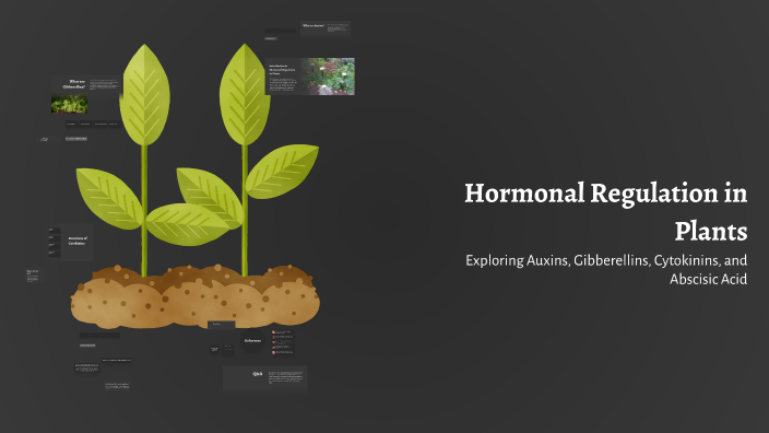 Hormonal Regulation in Plants by Cabdiladiif firrin20 on Prezi