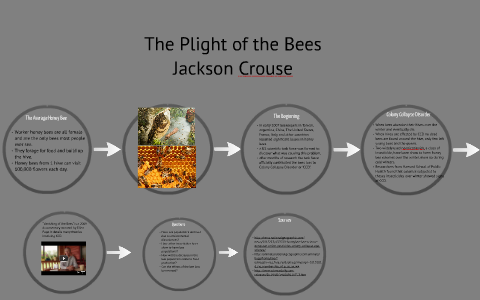 The Plight of the Bees by Rogue Squadron on Prezi