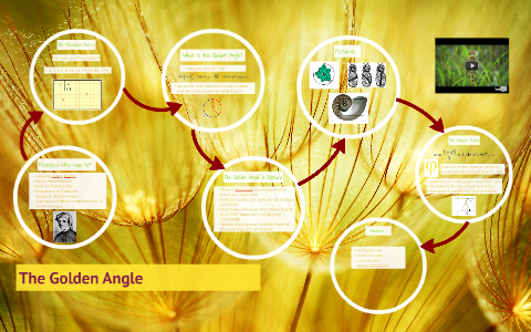 The Golden Angle by Emma Tracey on Prezi