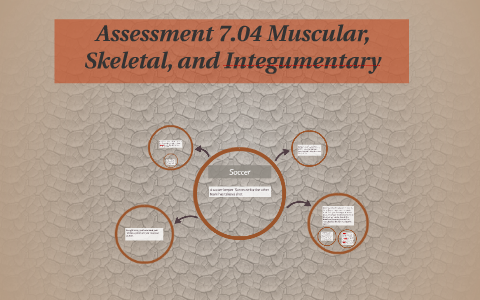 Assessment 7.04 Muscular, Skeletal, and Integumentary by on Prezi