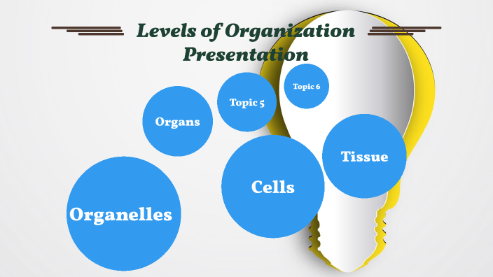 Levels of Organization Presentation by Rawlinz Porter [STUDENT] on Prezi