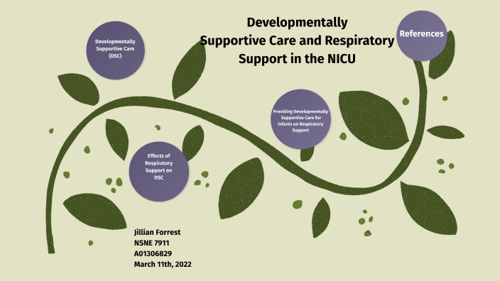Developmentally Supportive Care and Respiratory Support in the NICU by ...
