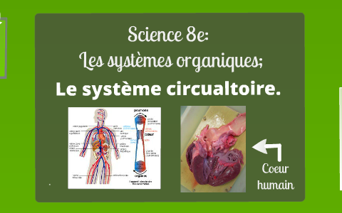 Science: Le système circulatoire. by Emali Histoire on Prezi