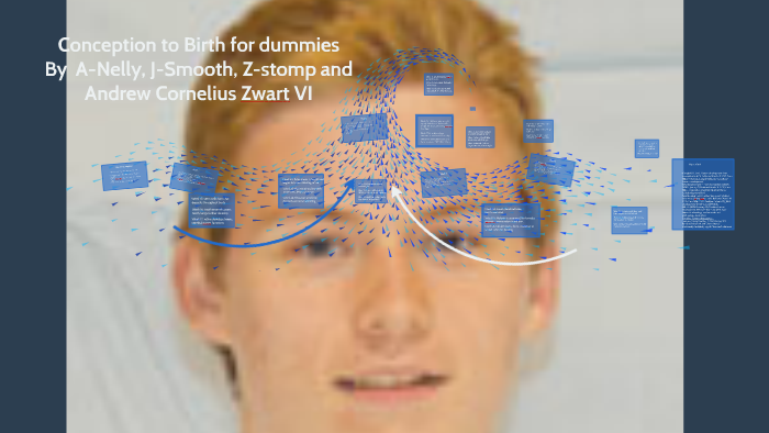 Conception to Birth for dummies by Zach Thomson on Prezi