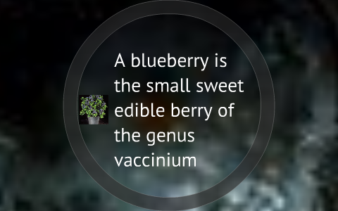 Blueberry vs. Gushers by Robert Minneker on Prezi