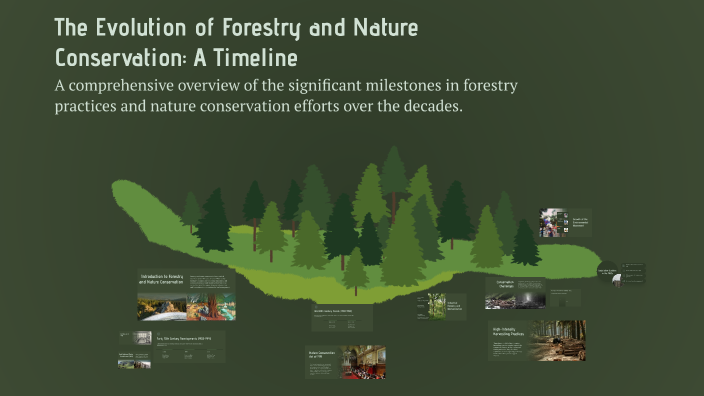 The Evolution of Forestry and Nature Conservation: A Timeline by Linnea ...