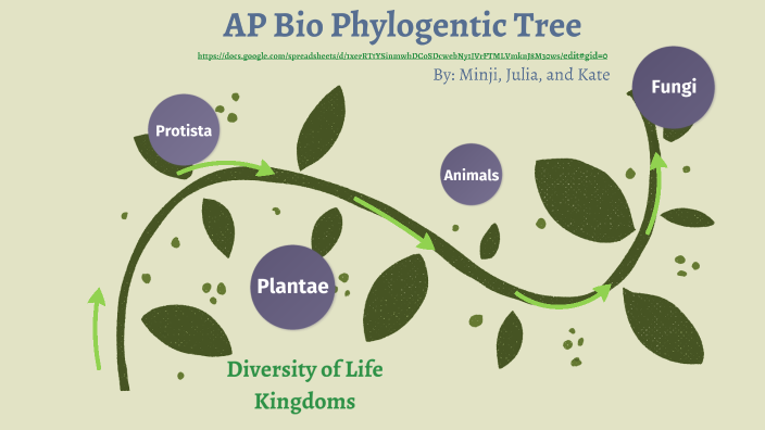 AP Bio Project by Kathryn Dickson on Prezi