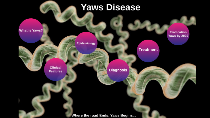 Yaws Disease by Shima Abdulaziz on Prezi